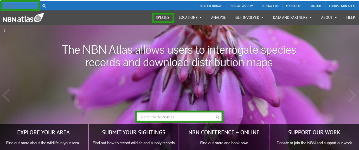 New species search - National Biodiversity Network