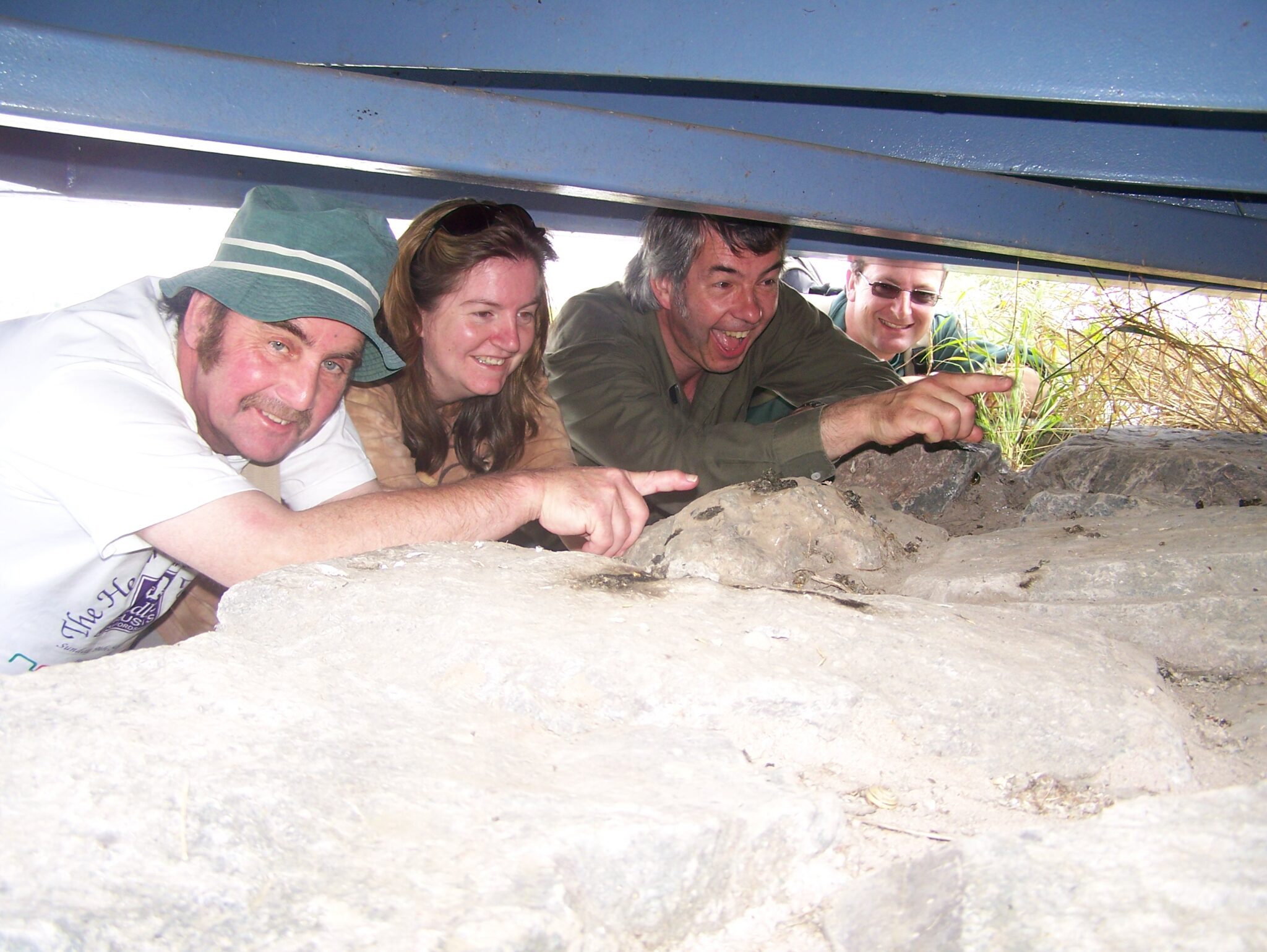NBN Award winners 2020 - National Biodiversity Network