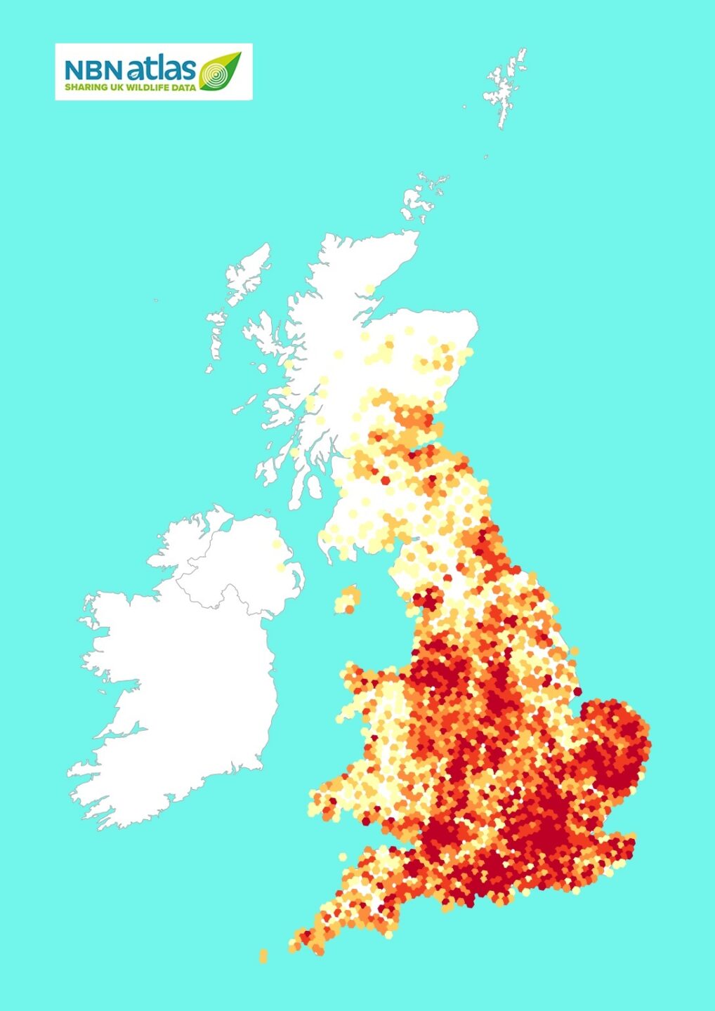 BBC Winterwatch and the NBN Atlas Comma butterfly distribution map ...