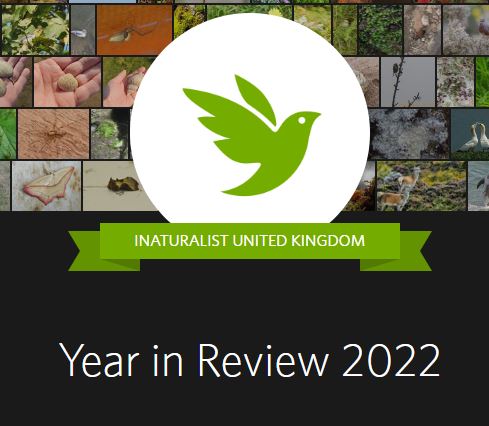 iNaturalist and iNaturalistUK Stats - National Biodiversity Network