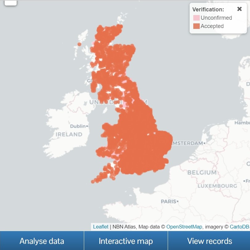 Volunteers needed for nationwide water vole survey - National Biodiversity Network