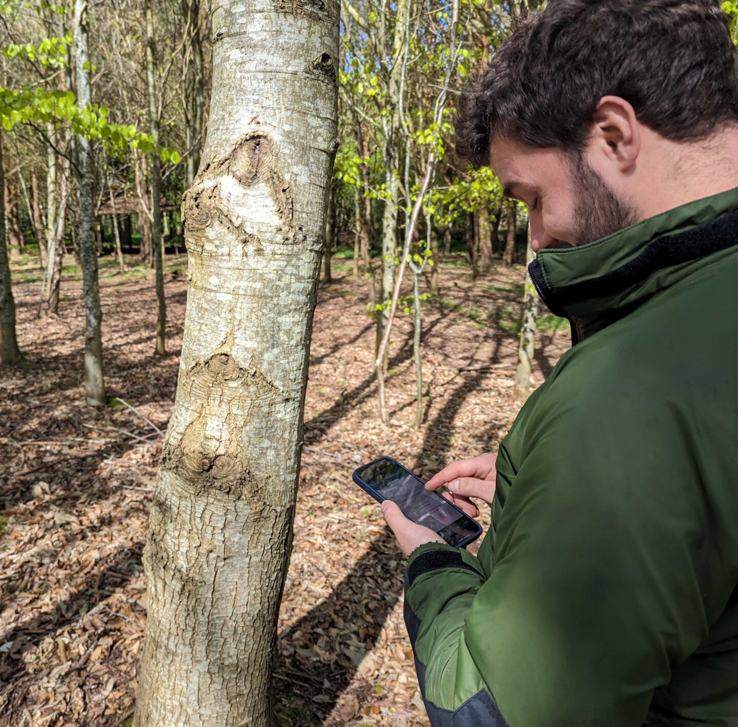 New Woodland Condition Assessment (WCA) App - National Biodiversity Network
