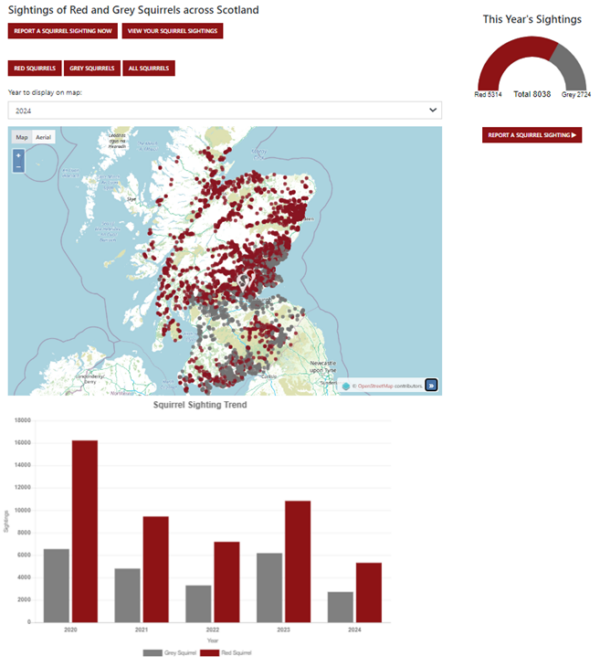 Using data to save one of Scotland’s ‘Big 5’ - National Biodiversity ...