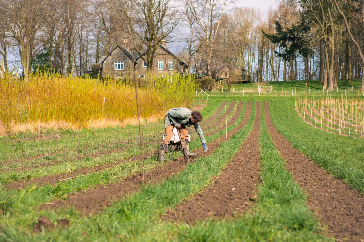 New free digital agroforestry designer toolkit launched for farmers and ...