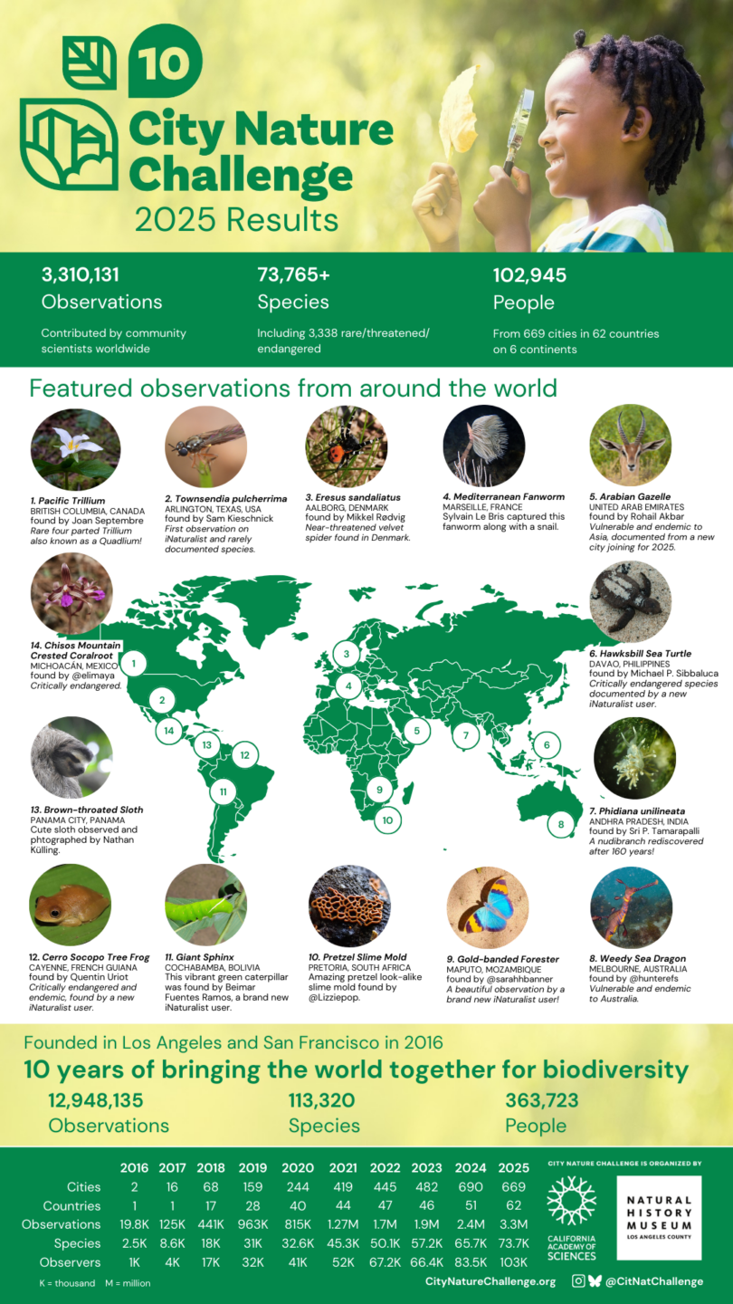 City Nature Challenge 2025 - results are in! - National Biodiversity ...