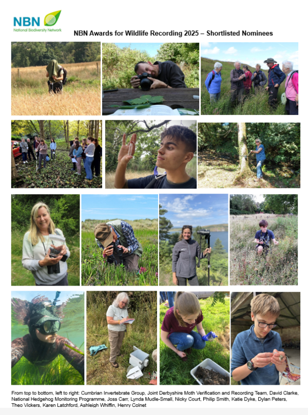 Shortlist announced - NBN Awards for Wildlife Recording 2025 - National ...